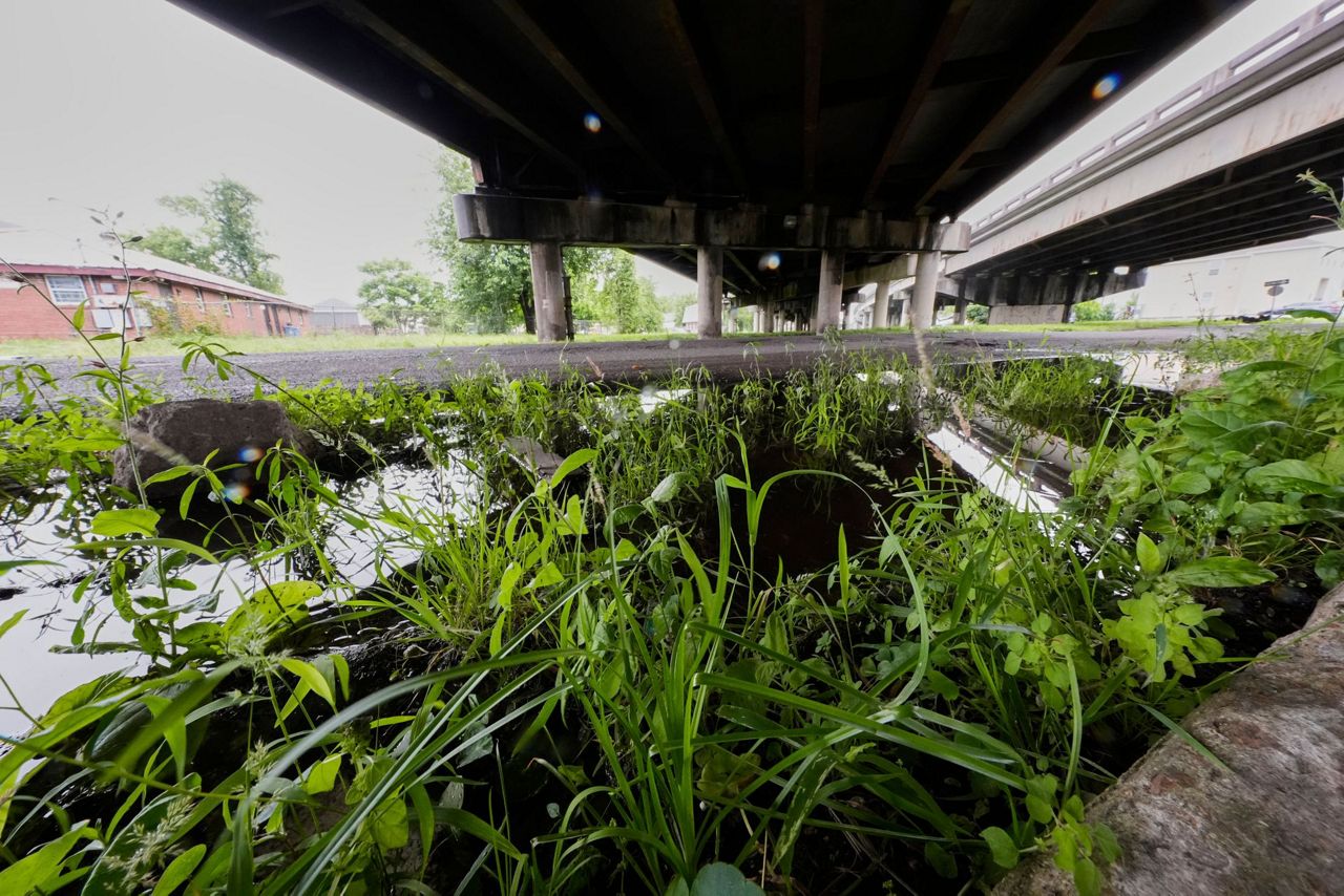 Pope Leo XIV's Creole heritage highlights complex history of racism and ...