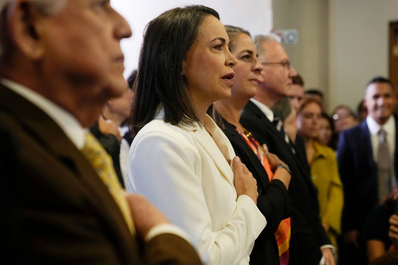 Venezuela's high court has suspended the opposition's primary election ...
