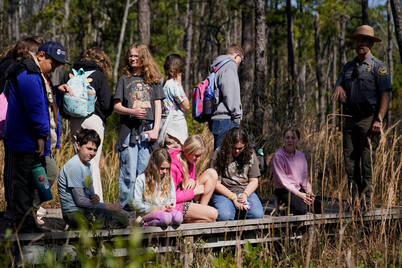 Insect-eating Venus flytraps thrive in the Carolinas as hikers peek ...