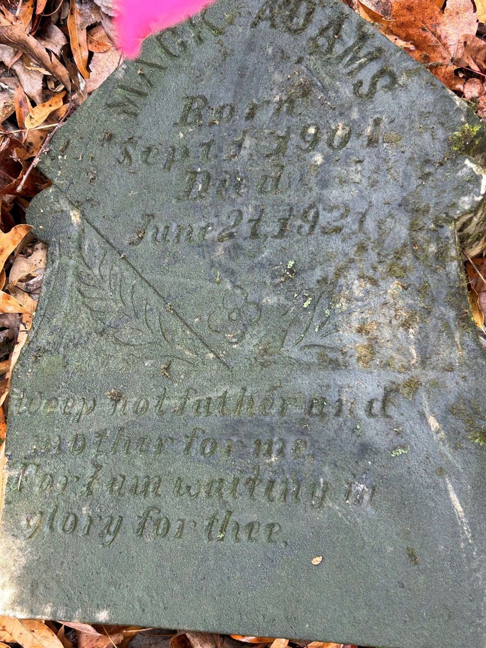 Black graves are being moved to make way for an industrial park ...