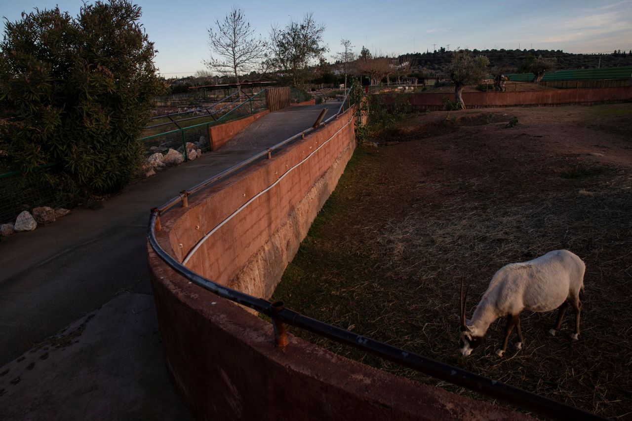 No income, 2,000 mouths to feed: Lockdown squeezes Greek zoo