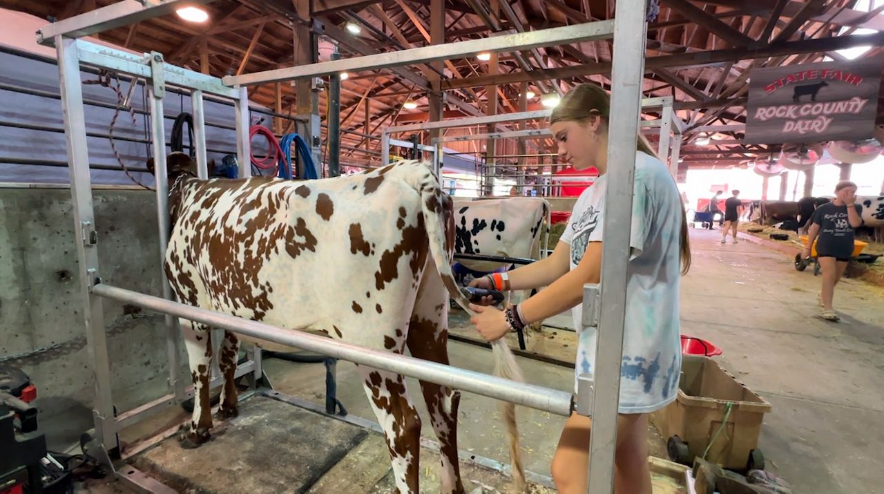 Heat wave hits Wisconsin State Fair as livestock arrive