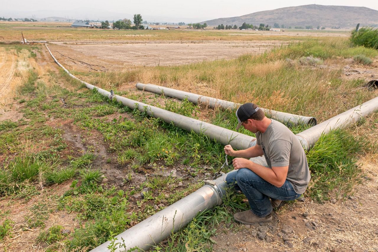 'Trying to survive': Wells dry up amid Oregon water woes