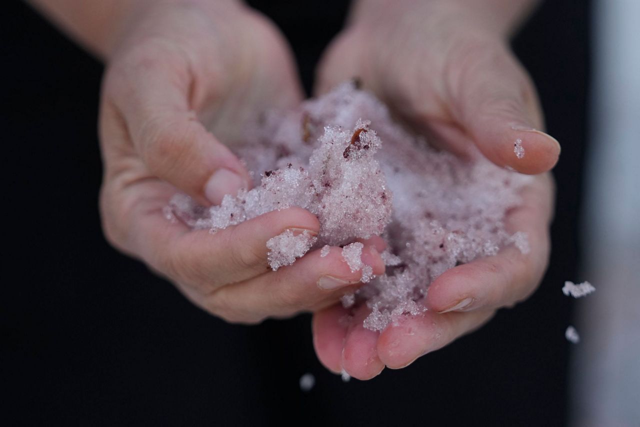 'Watermelon snow' piques curiosities in Utah after abnormally wet winter