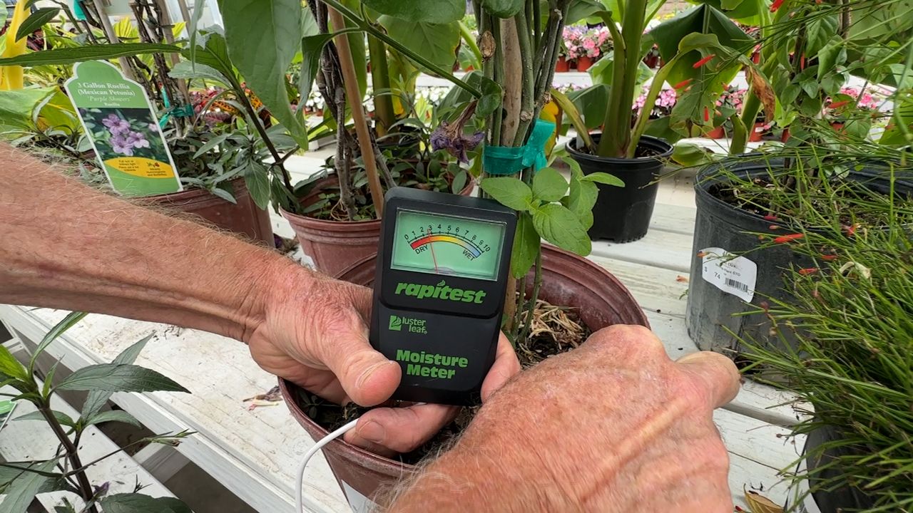 Landscapes feel effects of a dry spring