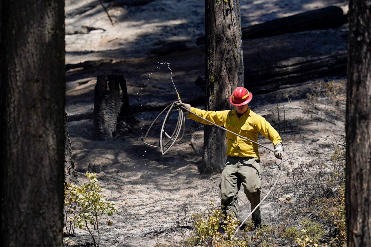 Yosemite wildfire moving east into Sierra National Forest