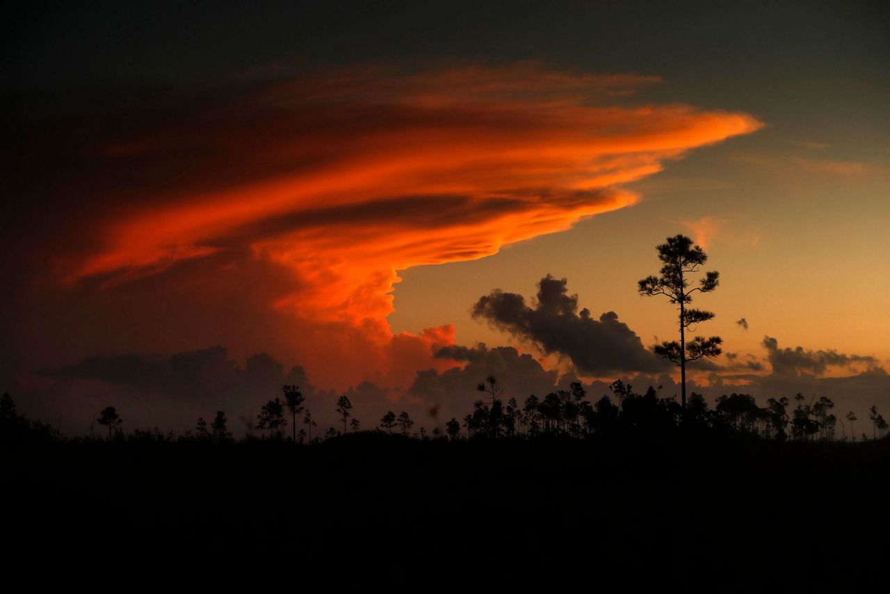 To save Everglades, guardians fight time -- and climate