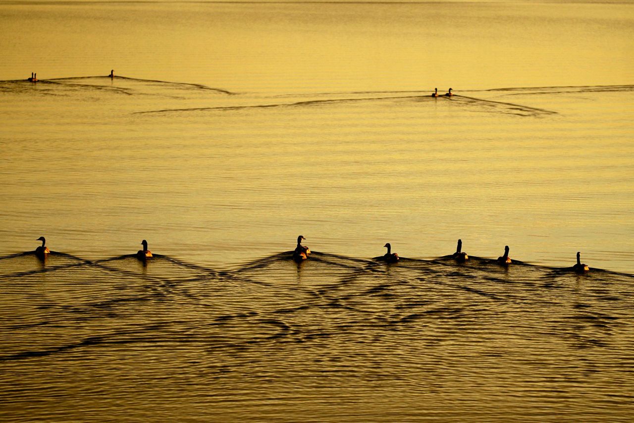 Bringing the world's buried wetlands back from the dead