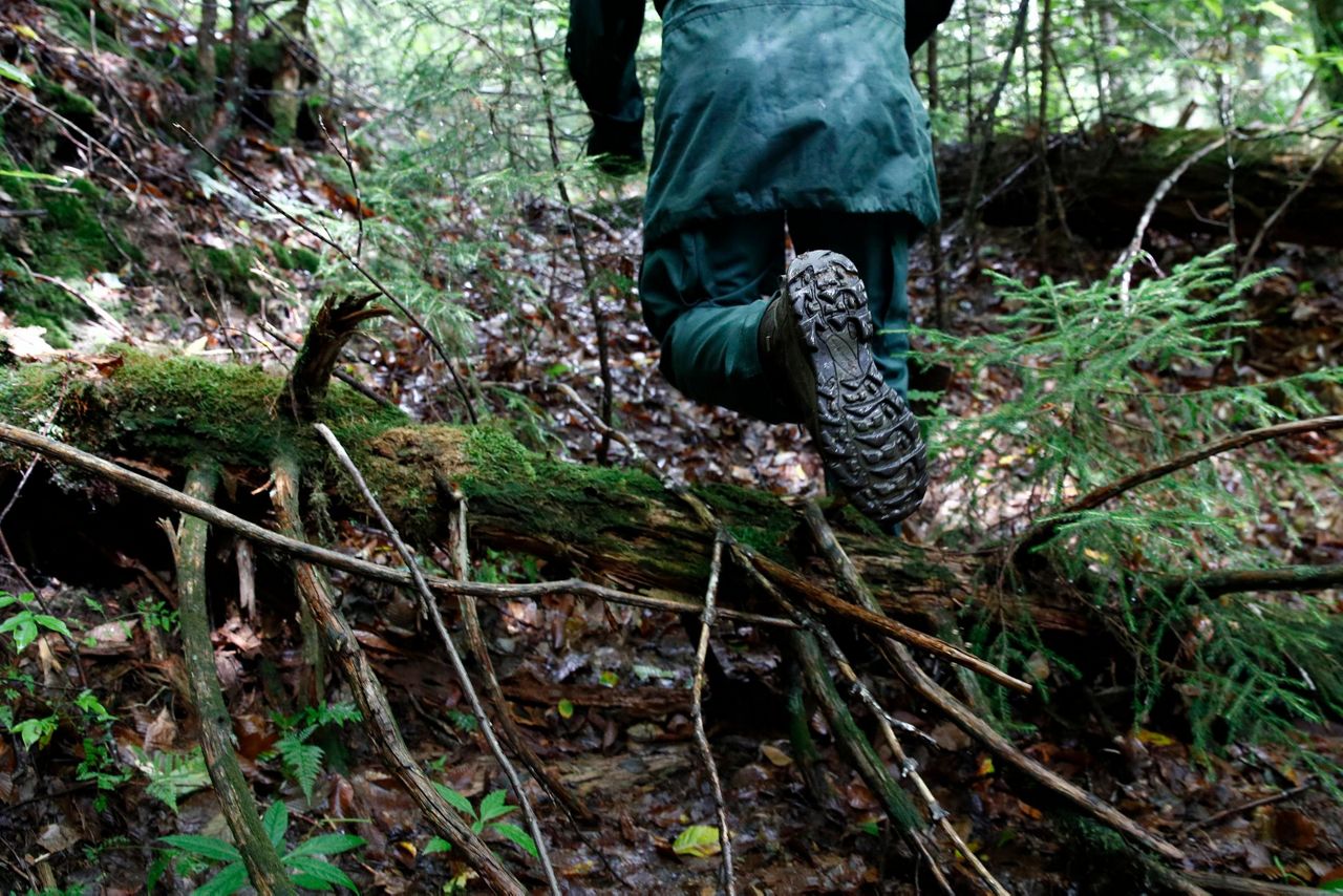 Restoring forests 1 tree at a time, to help repair climate