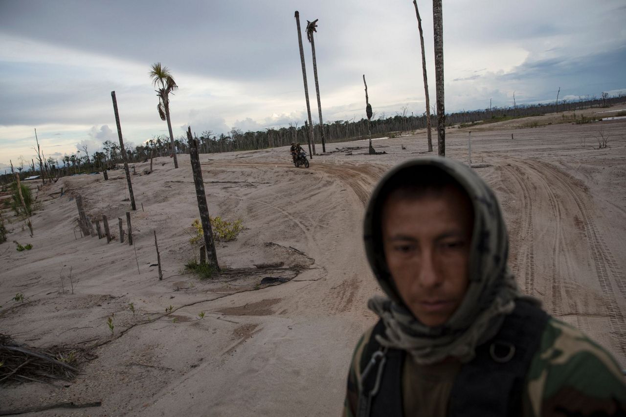 Restoring forests 1 tree at a time, to help repair climate