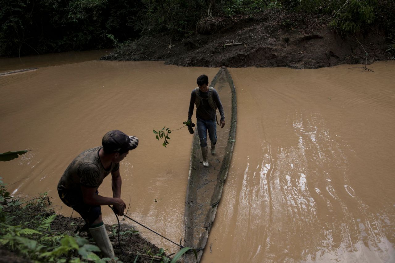 Restoring forests 1 tree at a time, to help repair climate