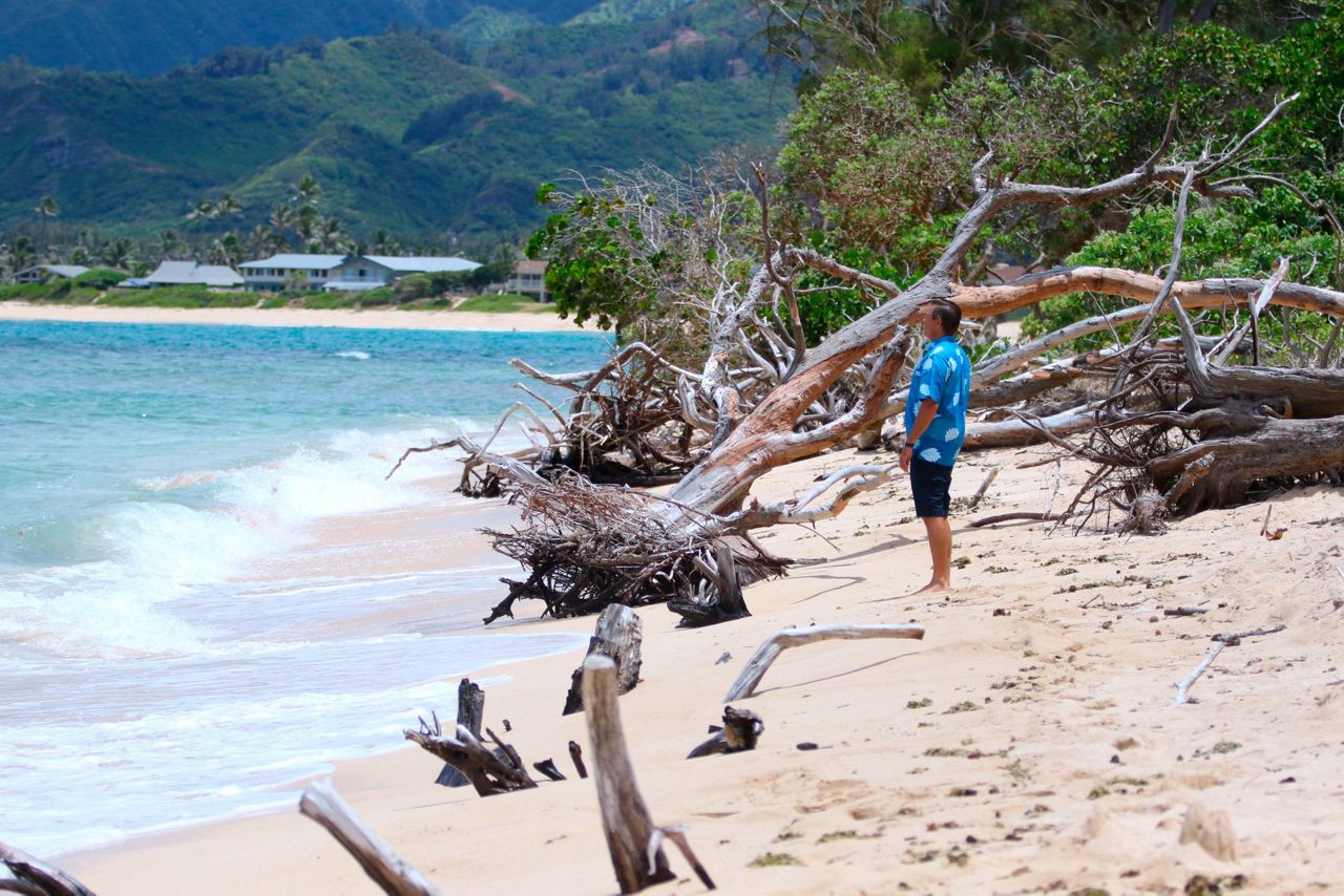 Olympic surfing exposes whitewashed Native Hawaiian roots