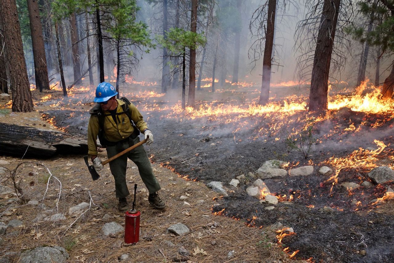 Fighting fire with fire underused in US West despite goals