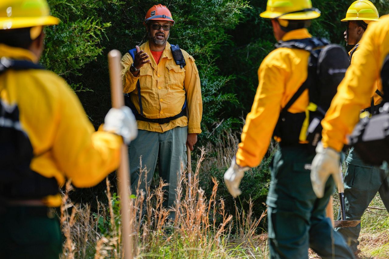 US Forest Service and historically Black colleges unite to boost ...