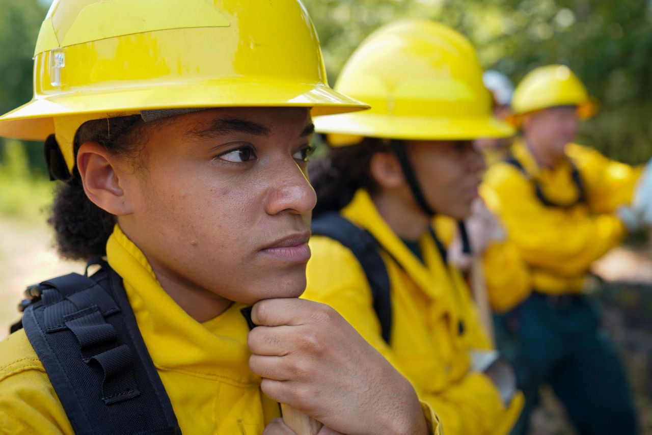 US Forest Service and historically Black colleges unite to boost ...