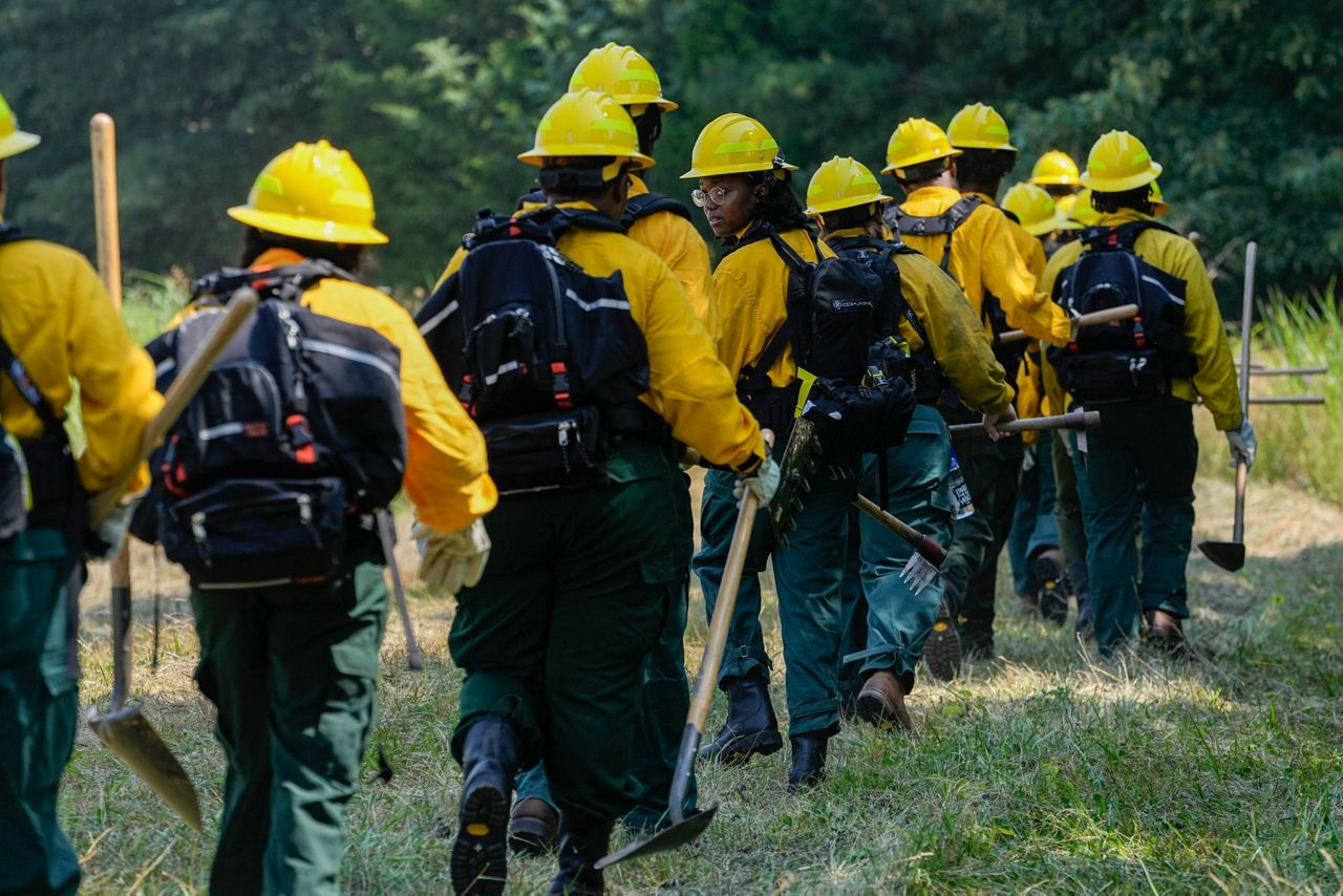 US Forest Service and historically Black colleges unite to boost ...