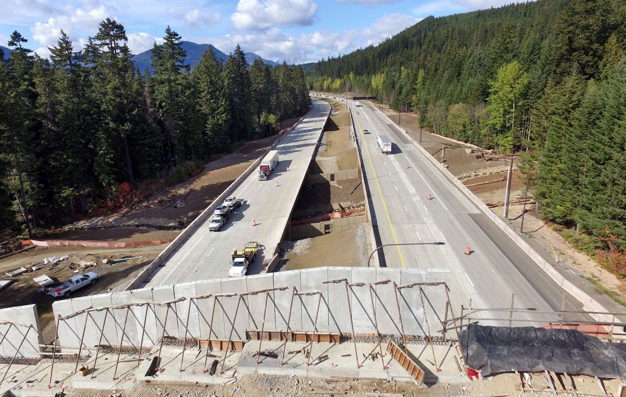 Washington state combats collisions with new wildlife bridge