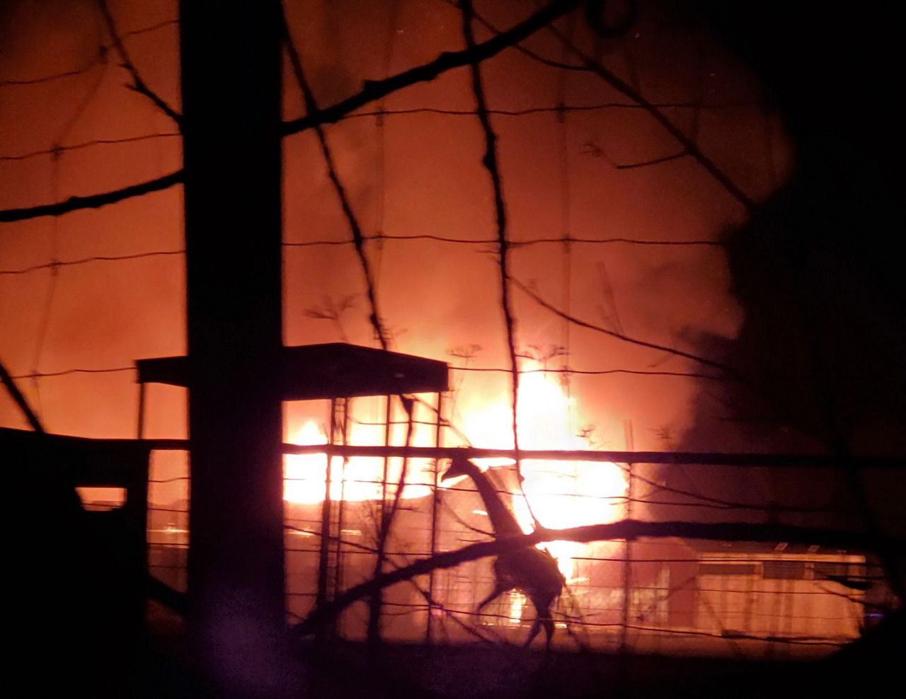 10 animals killed in barn fire at wildlife park