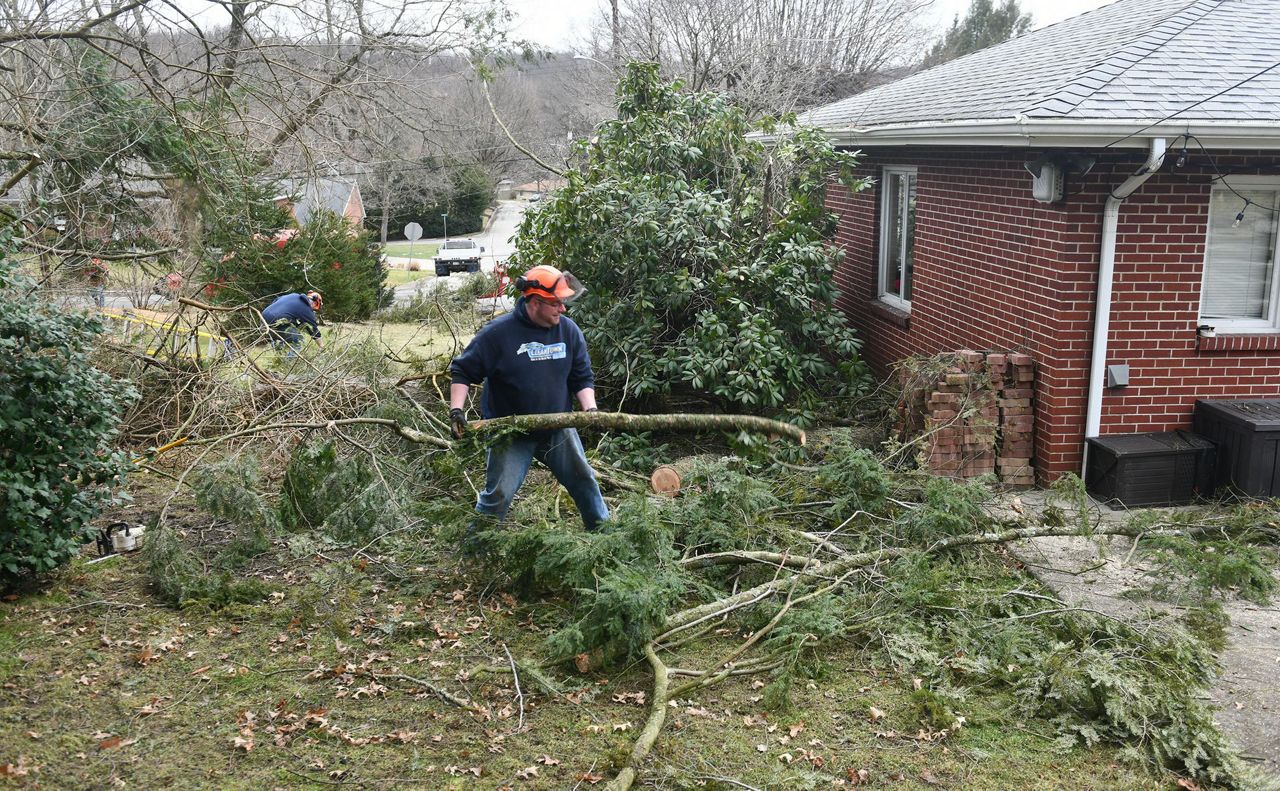 High winds topple trees, take out power across the East