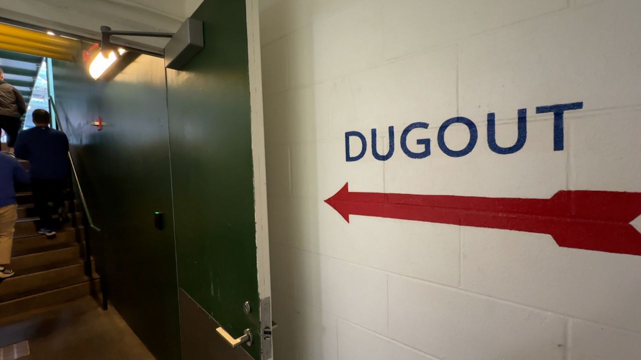 Wrigley Field transforms for OSU Northwestern game