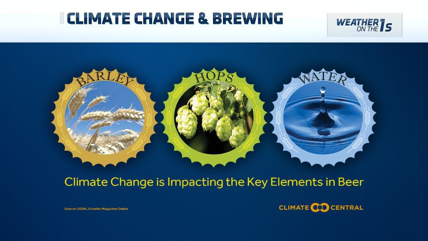 Climate Change Could Impact the Taste of Beer