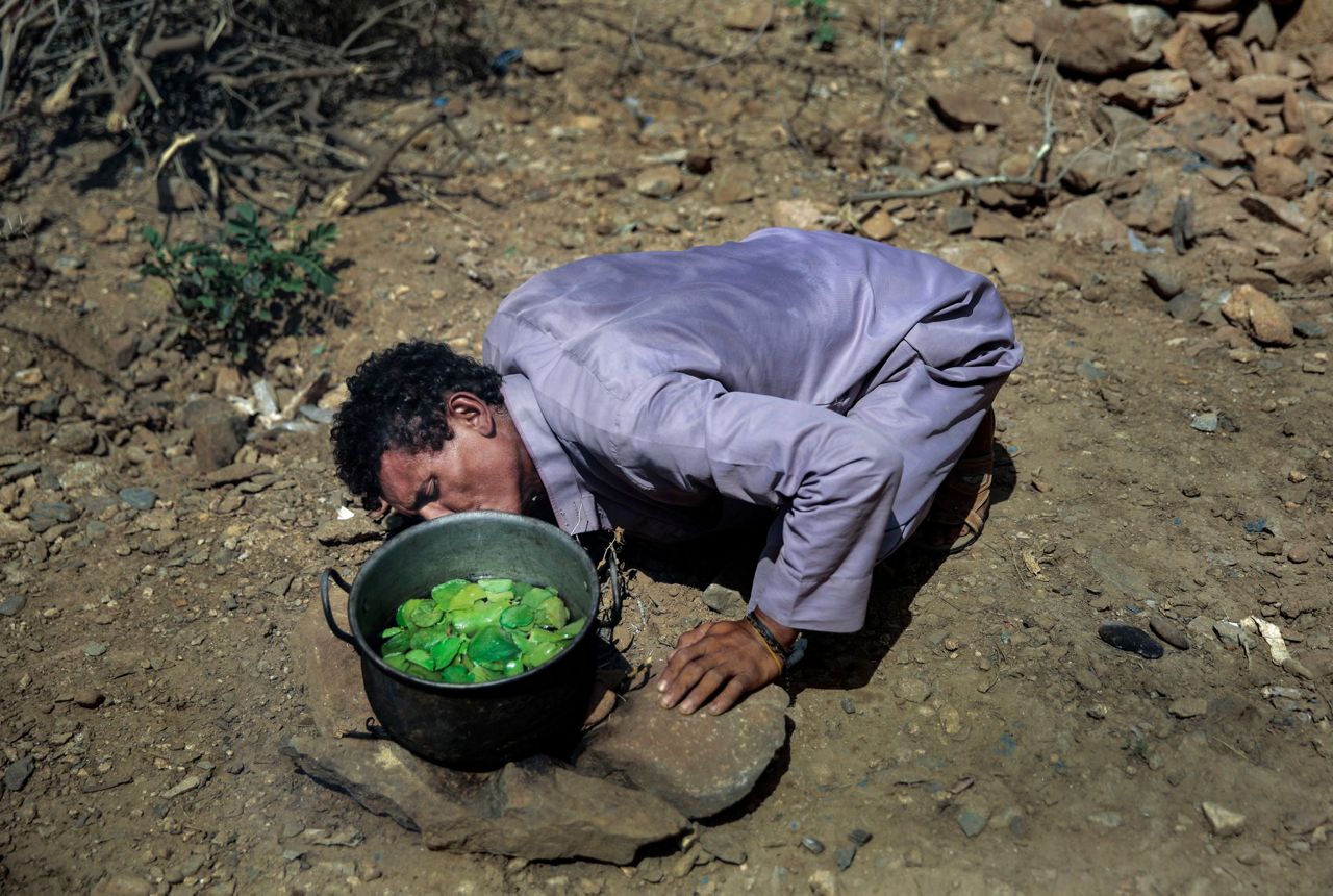 AP PHOTOS: Yemen's displaced live on bread crumbs, leaves