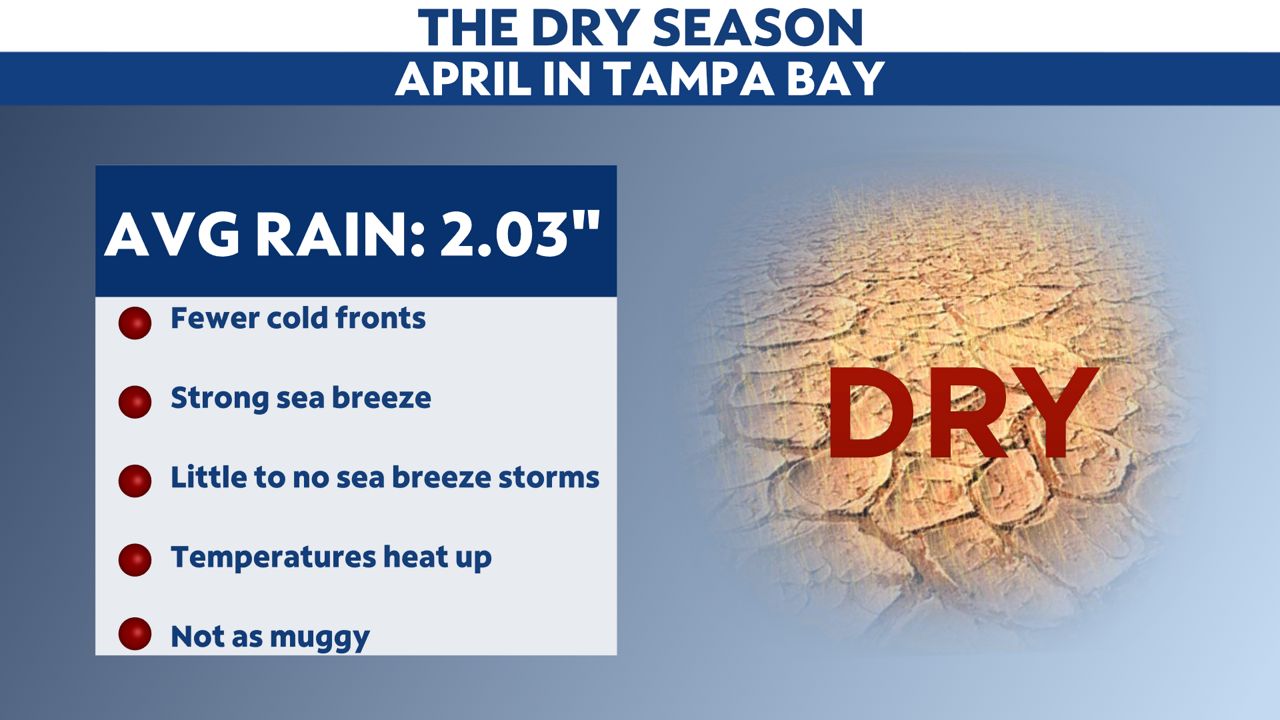 Why April is Tampa's Second Driest Month of the Year