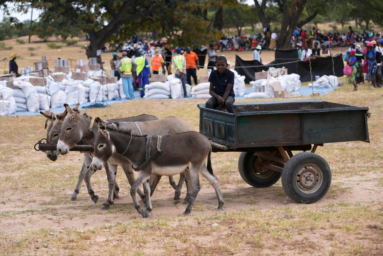 Zimbabwe declares drought disaster, the latest in a region where El ...