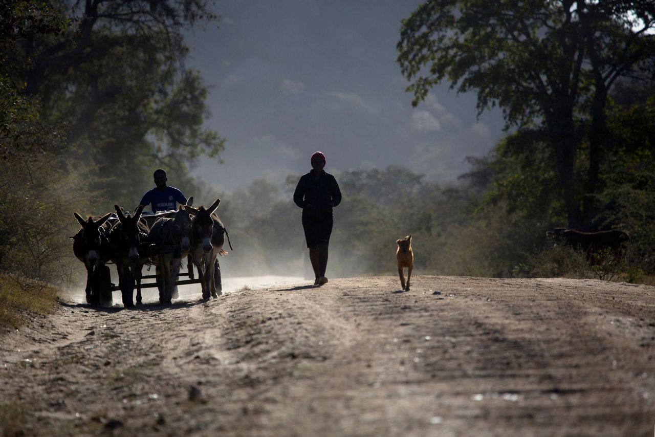 Zimbabwe's Matabeleland massacre haunts Monday's elections