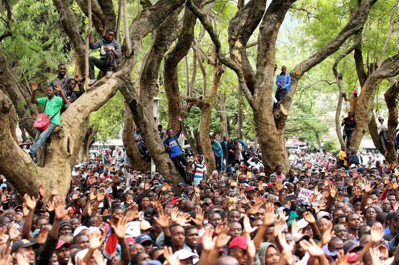 Zimbabweans protest 'cocktail of lies' amid economic decline