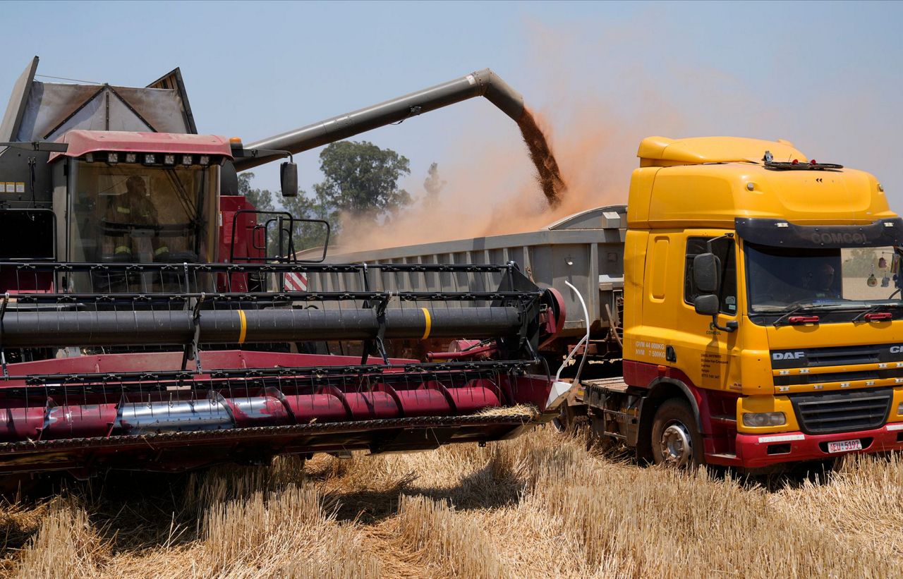 Zimbabwe's focus on wheat set to yield biggest-ever harvest