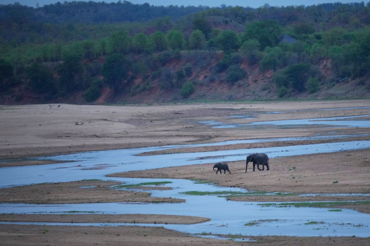Longer droughts in Zimbabwe take a toll on wildlife and cause more ...
