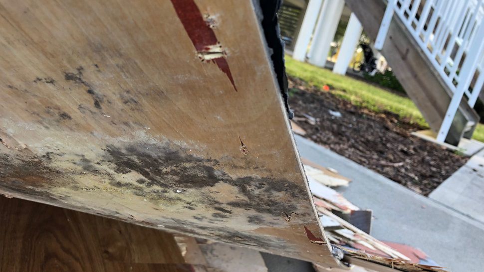 MacDill AFB Mold Problems Getting Closer Look