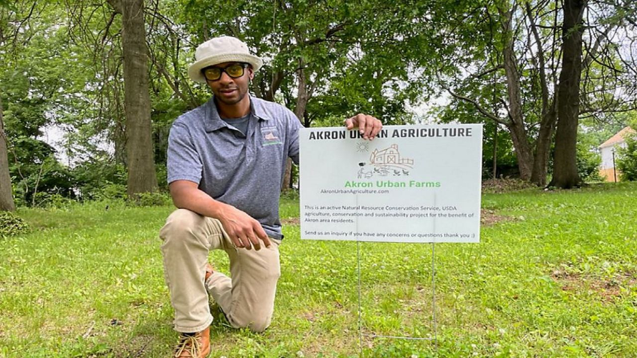 Engineer hopes to fight food insecurity building green space