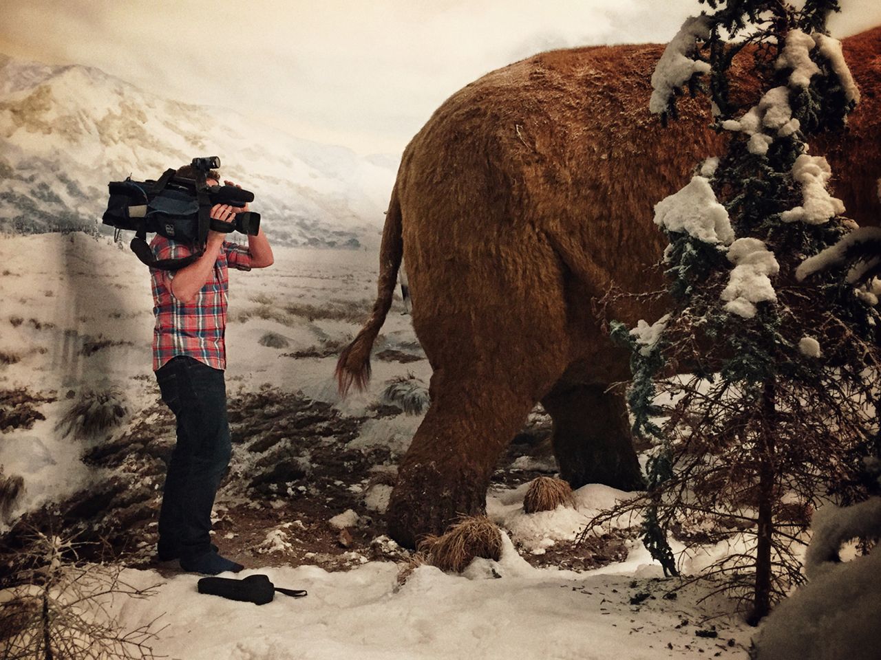 The history of the Cohoes Mastodon