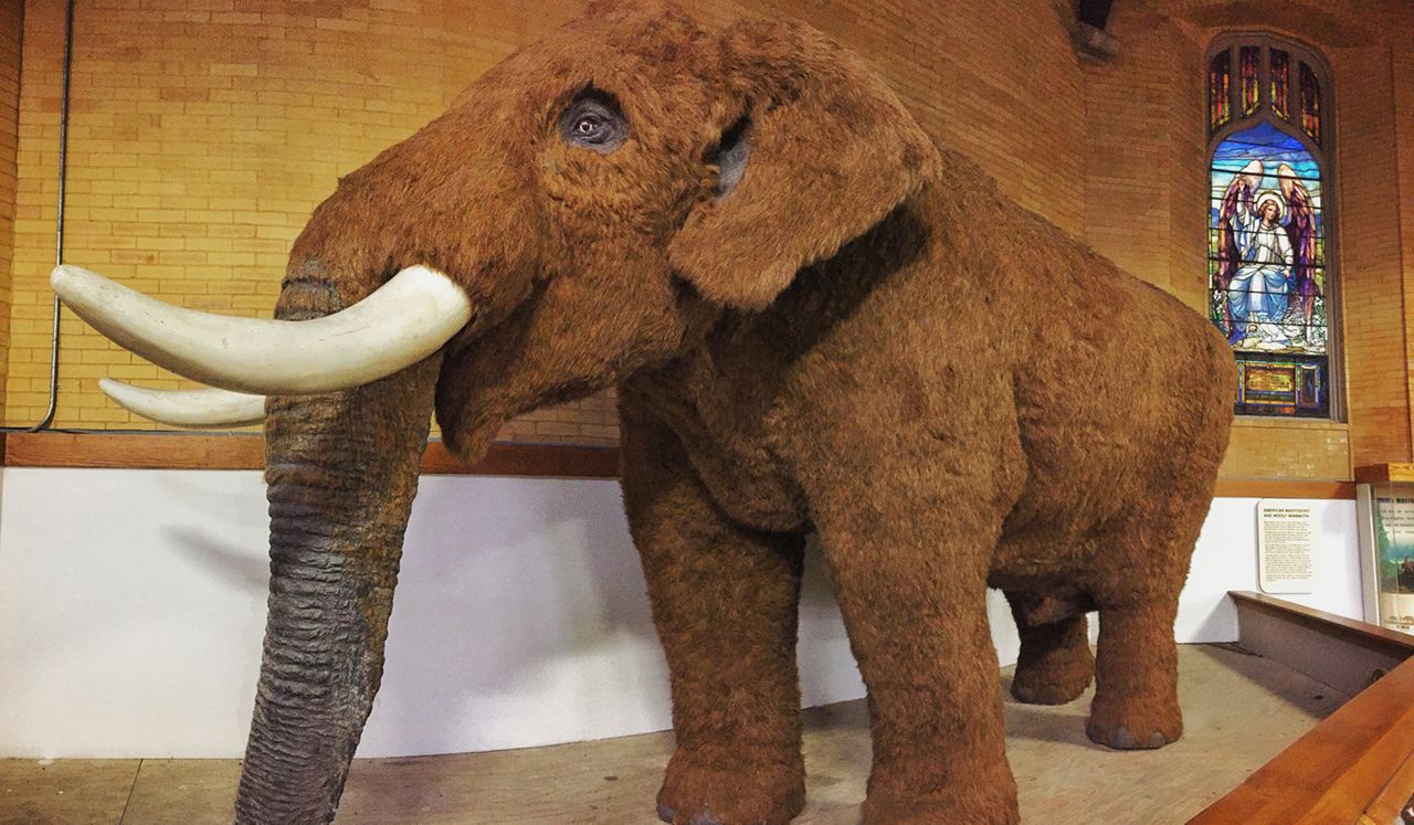 The history of the Cohoes Mastodon