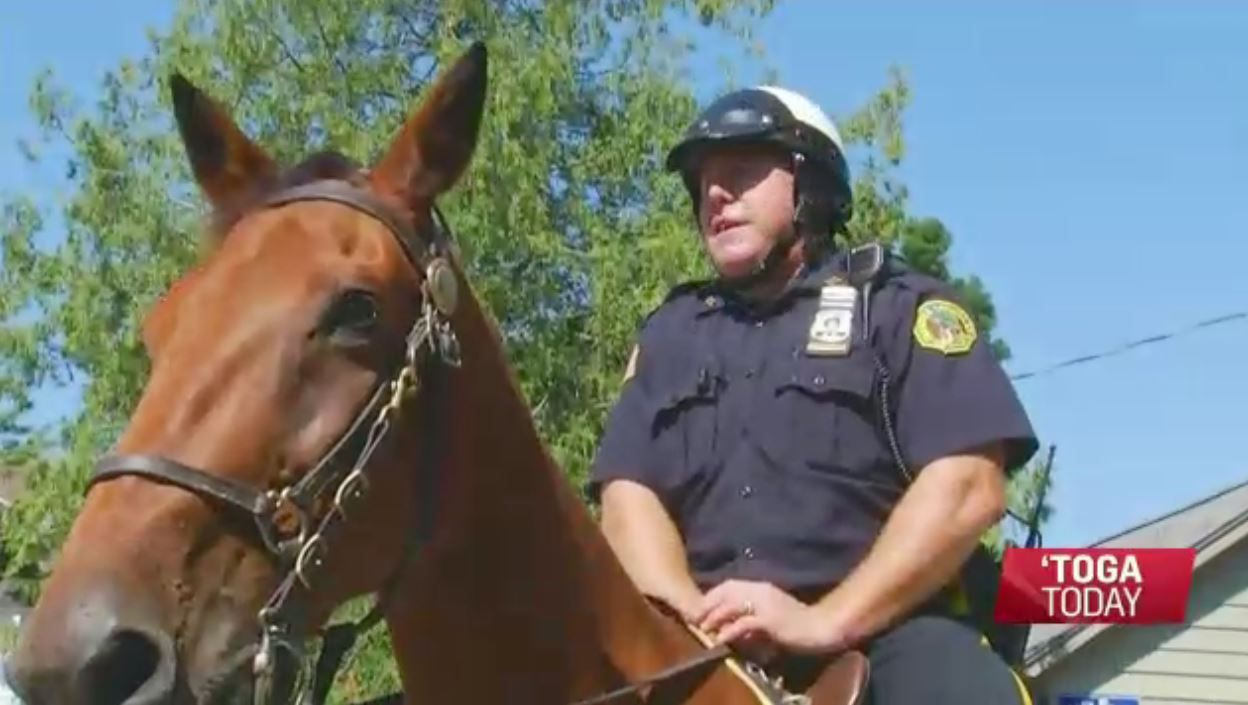 A Saratoga Track Cop's Best Friend: His Horse
