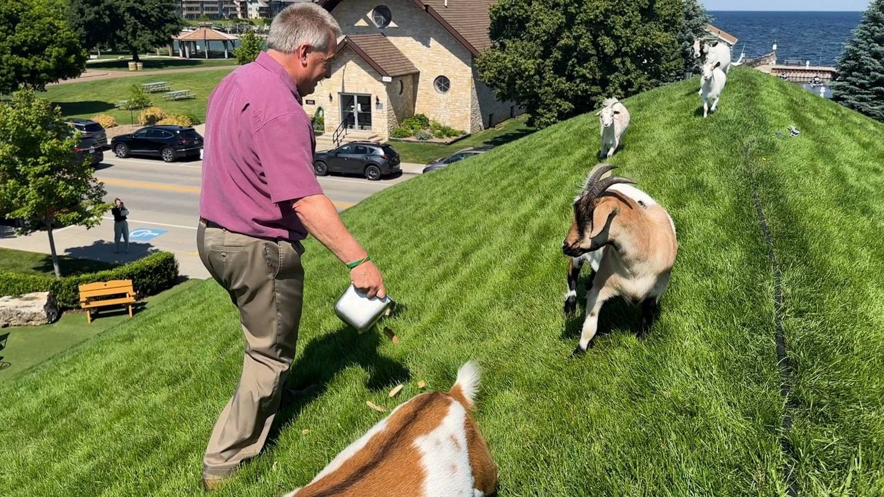 Al Johnson's restaurant celebrates 75th anniversary