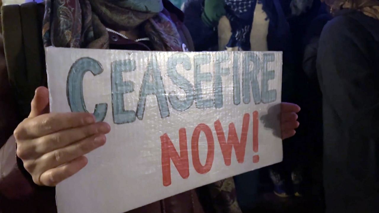 Calls continue for Albany council resolution on Gaza