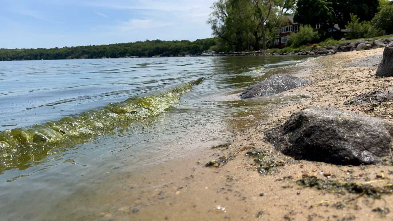 Algae blooms close beaches in Madison area