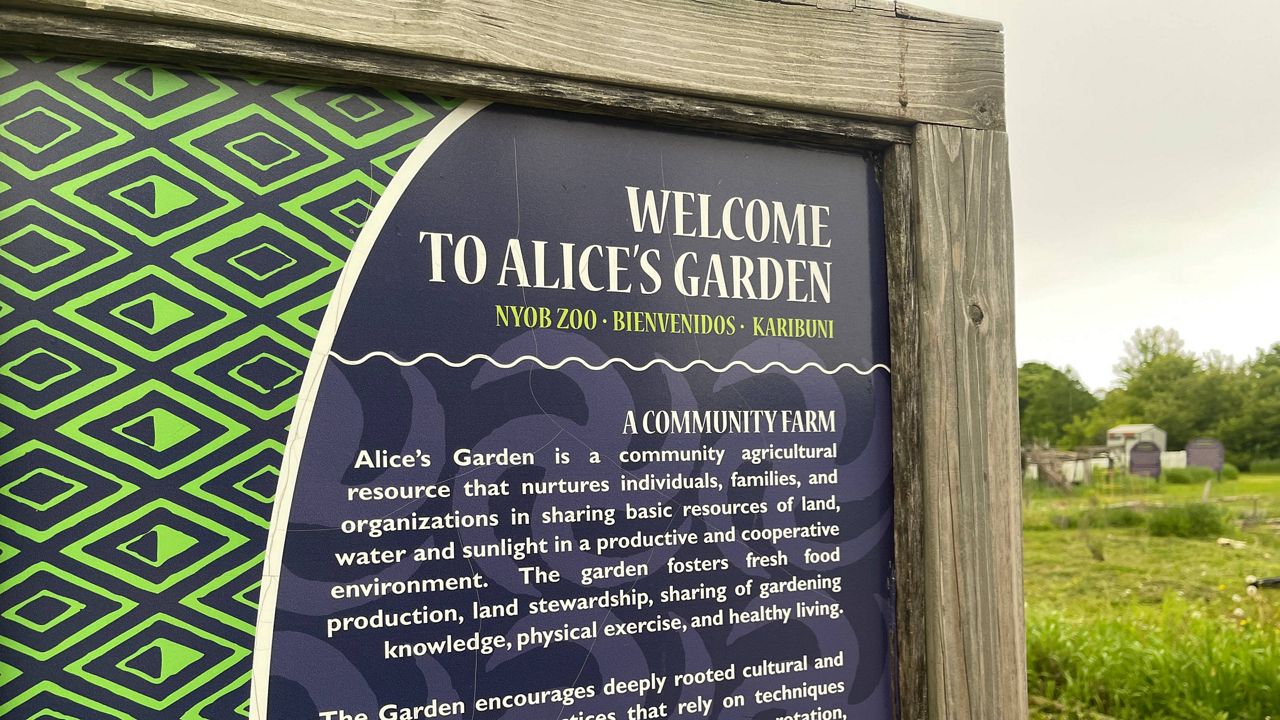 Community turns to Alice's Garden amid rising grocery costs