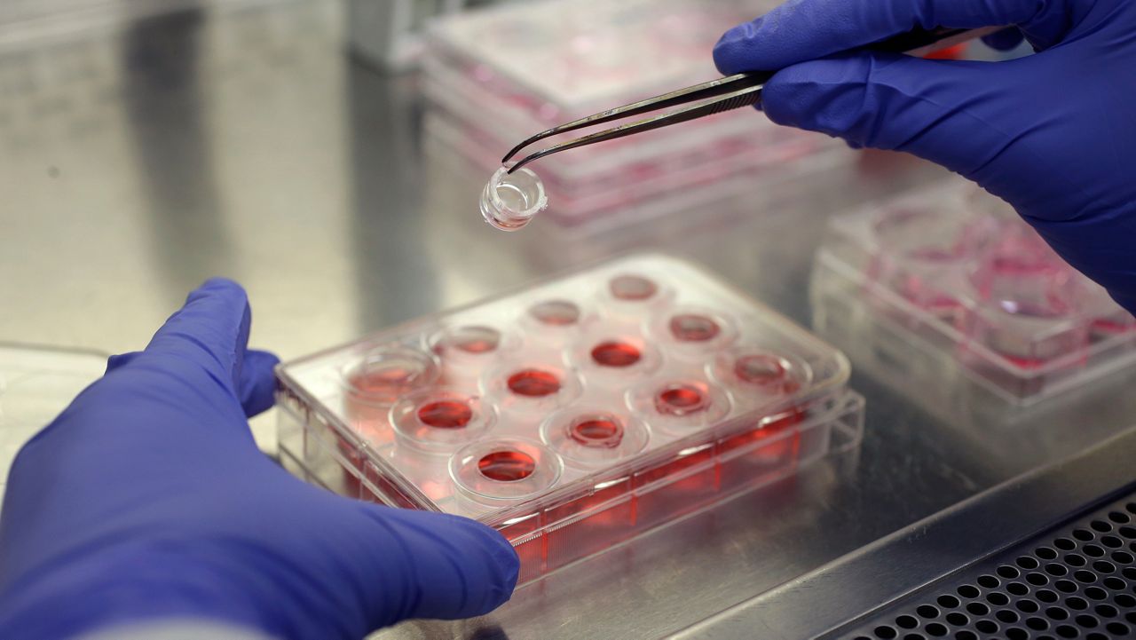 New law aims to reduce animal testing in drug process