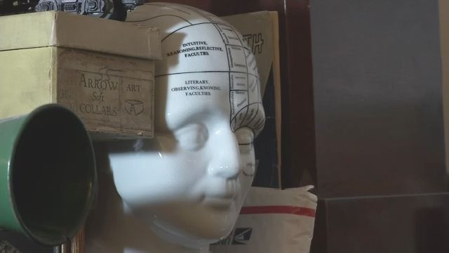 Display of Antique Oddities in Greenwich Village a Catalogue of History