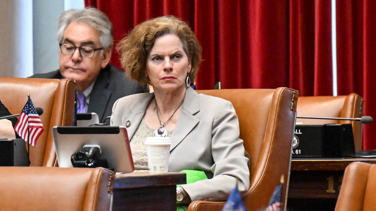 N.Y. Assemblywoman Pat Fahy wants more aid for SUNY, CUNY