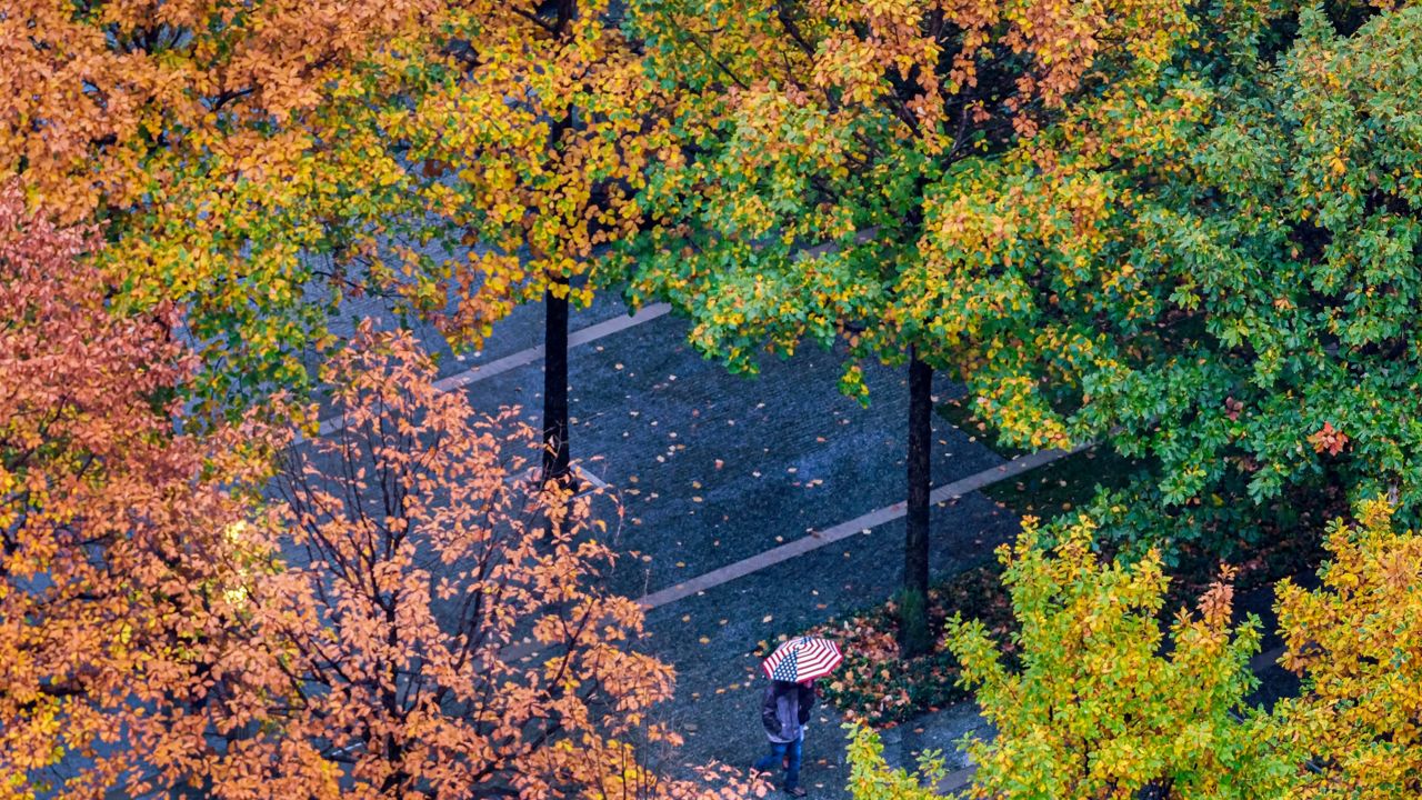 Morning Briefing: Nov. 14, 2022