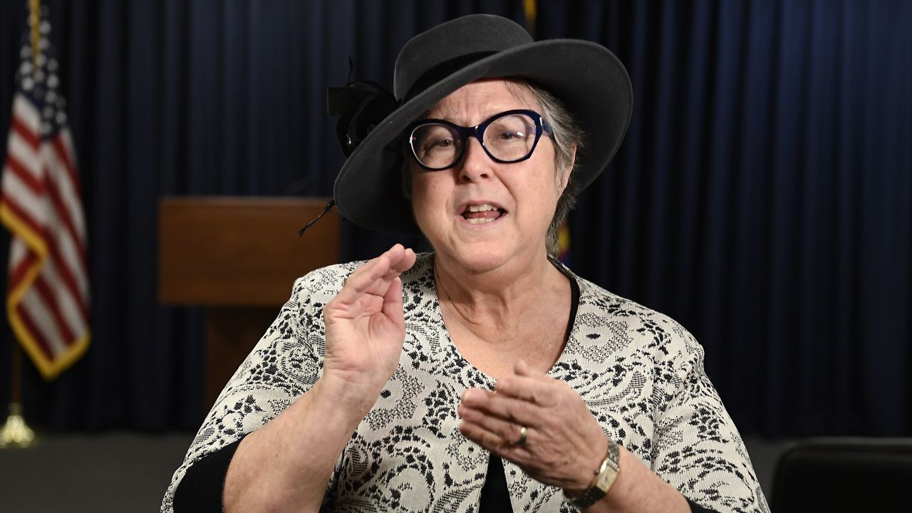 Redistricting 101 With Susan Lerner of Common Cause