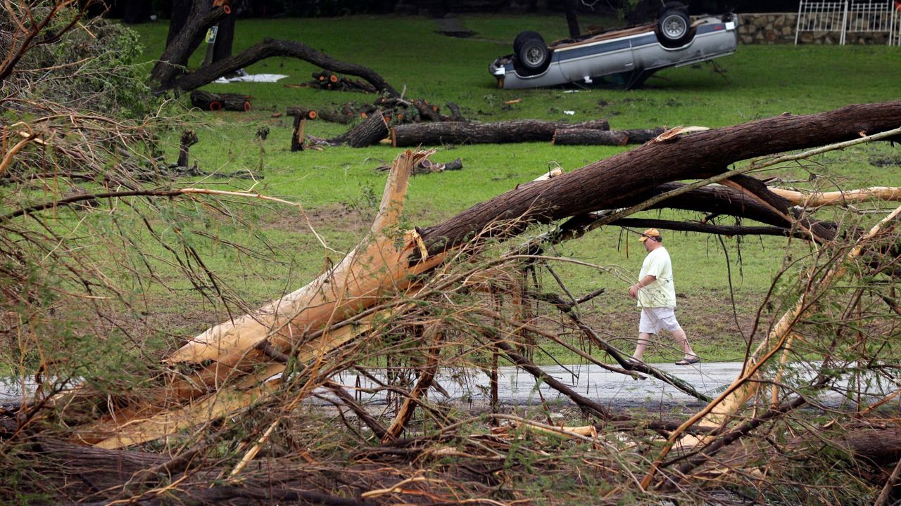 TreeFolks is planting 1 million trees in Austin
