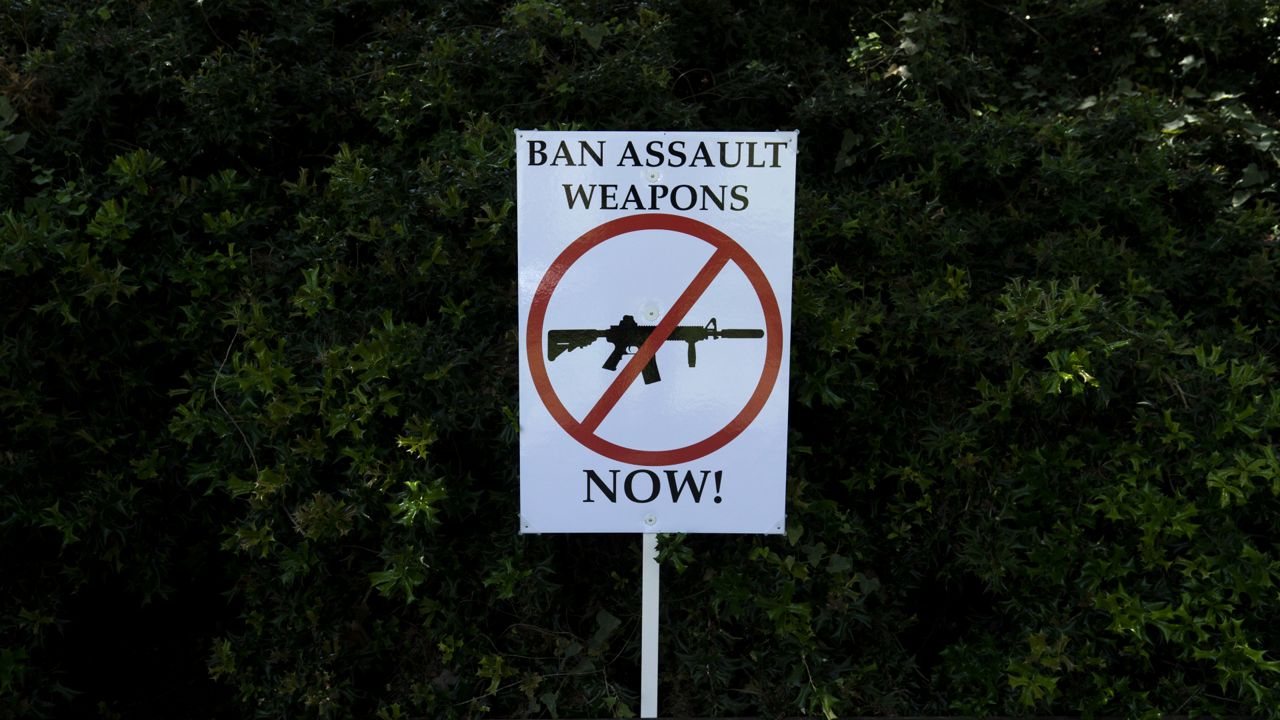 Midterm elections to test political power of gun reform push