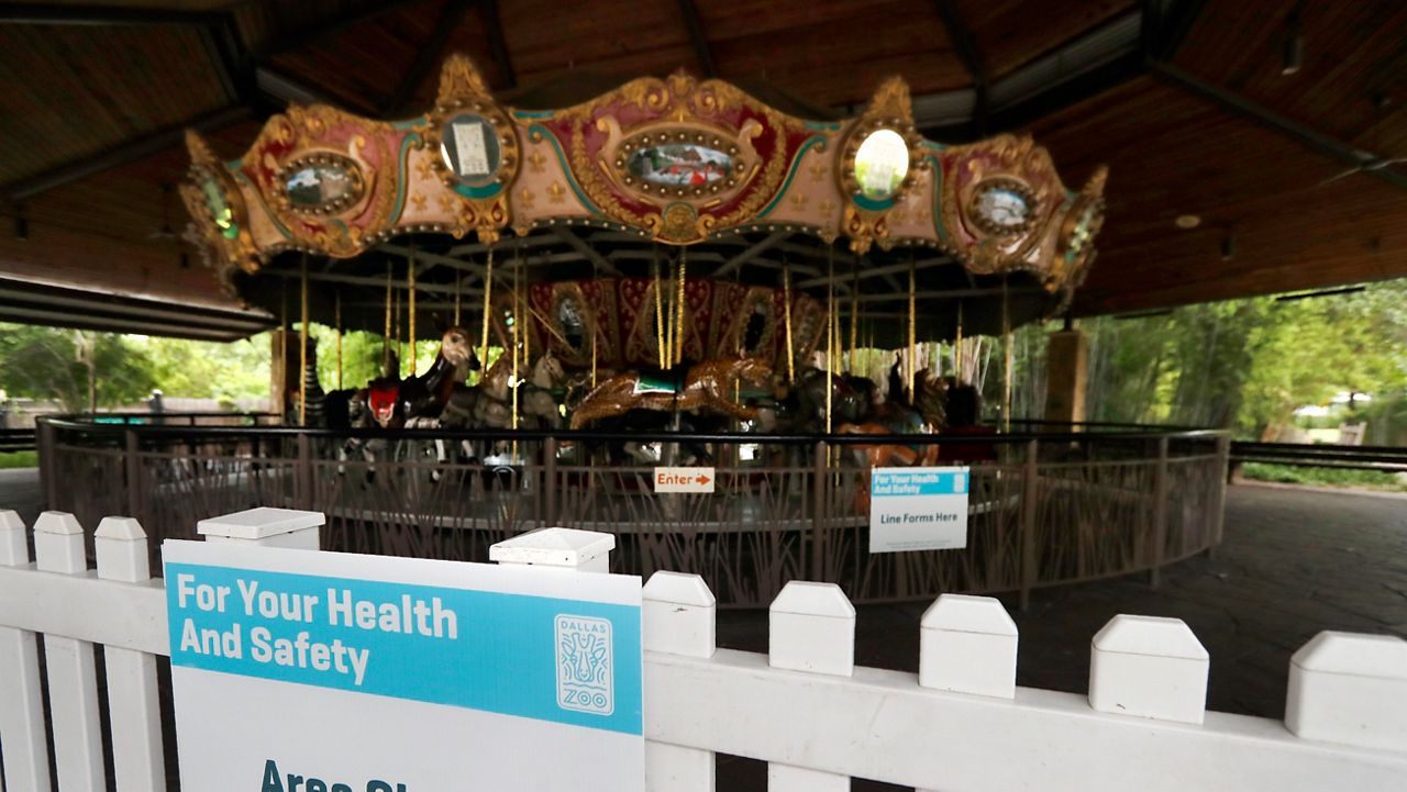 Zebra Dies at Dallas Zoo Following “Tragic Accident”