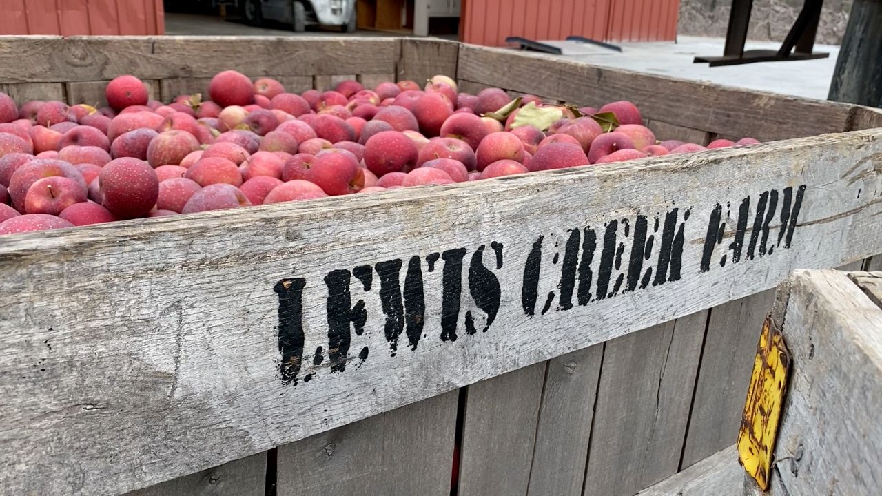 Henderson County hopes weather stays calm for apples